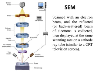 Microscopic techniques | PPT
