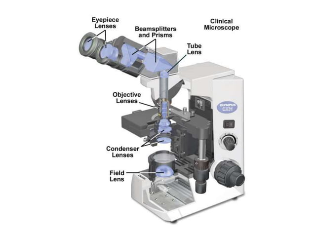 Microscopic techniques | PPT | Physics | Science
