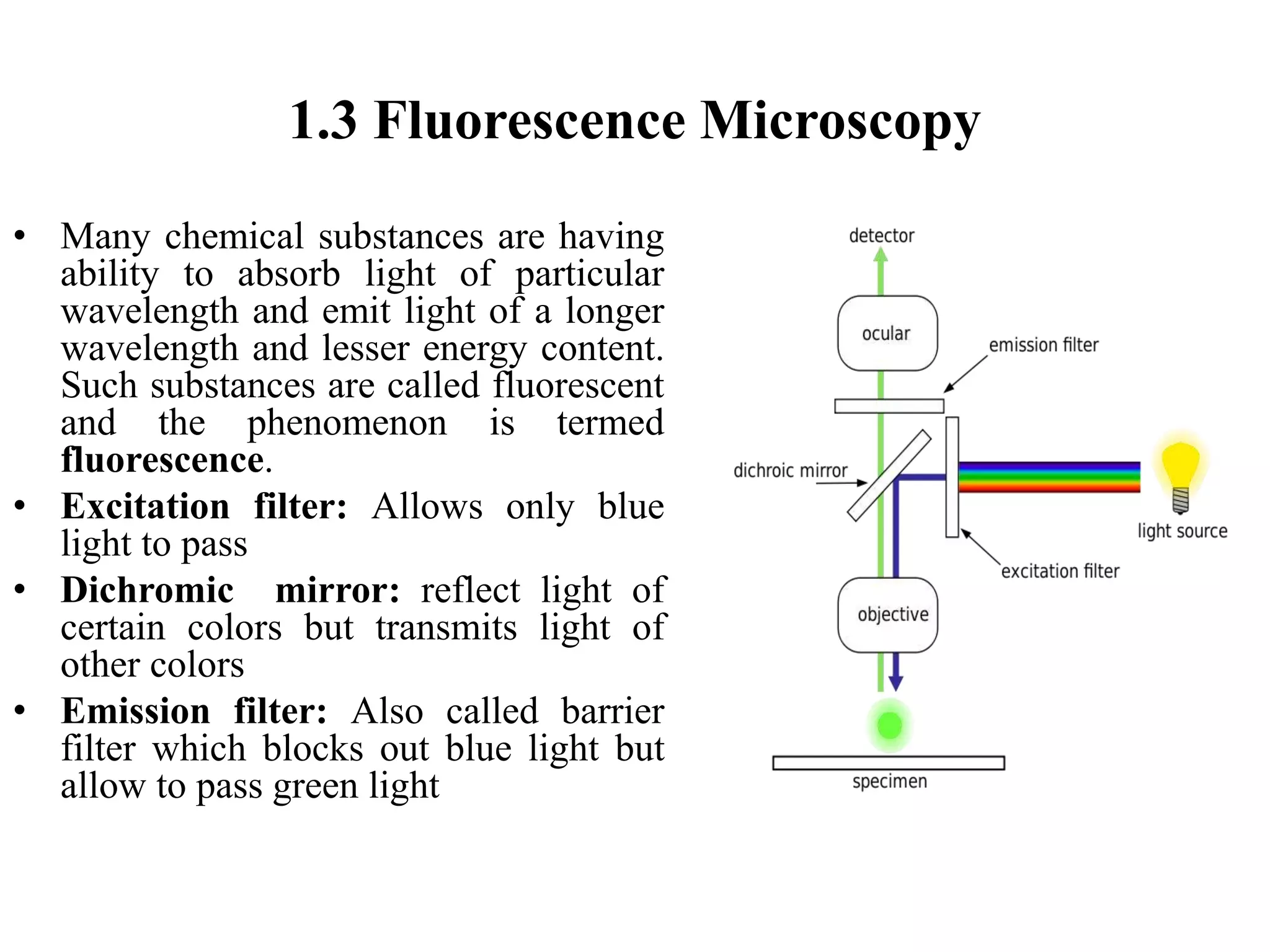 2 Microscopy and staining.pptx