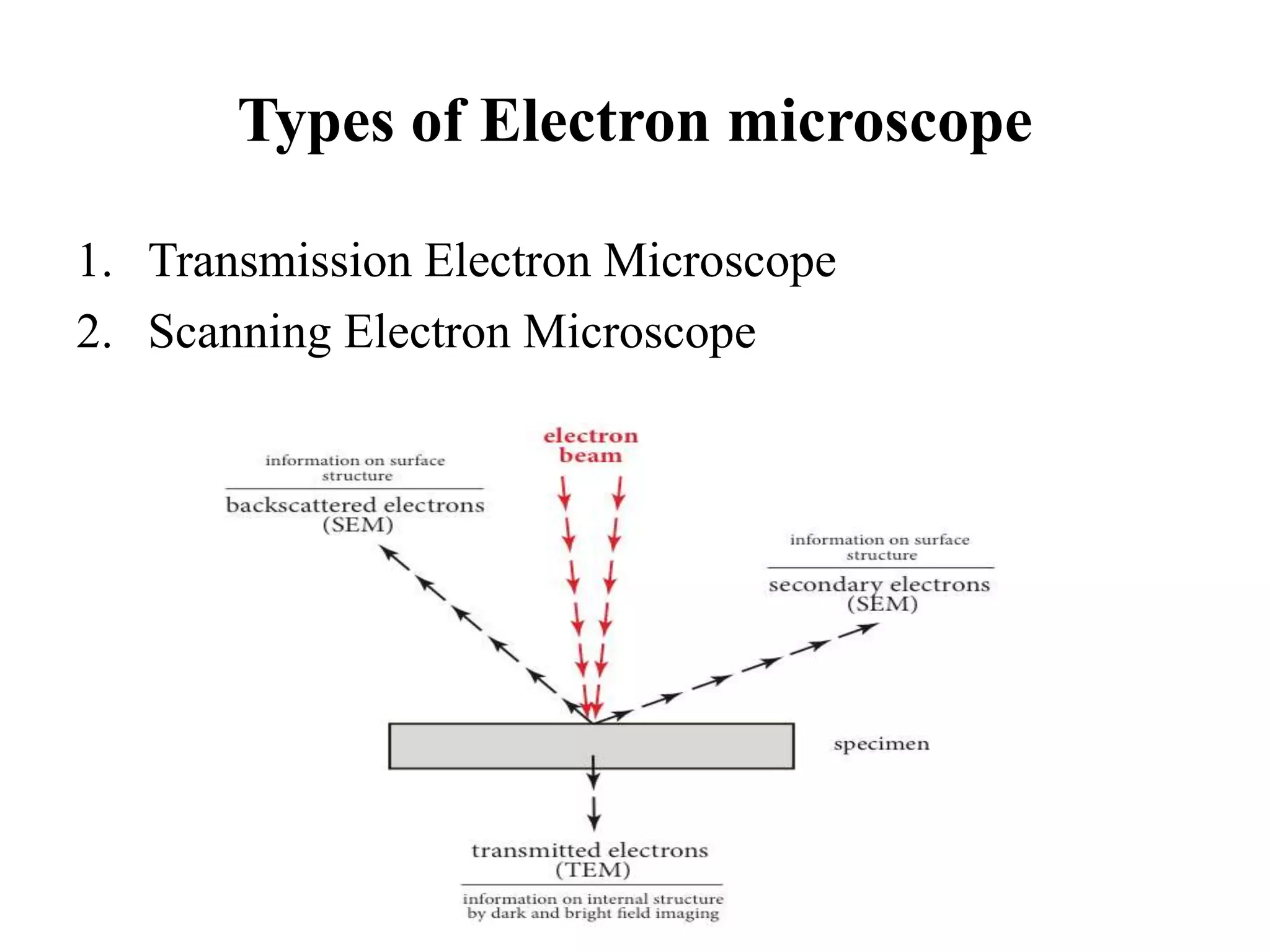 2 Microscopy and staining.pptx