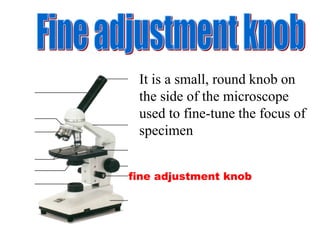2 Microscopy and staining.pptx