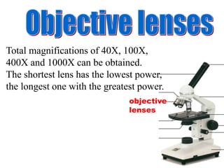 2 Microscopy and staining.pptx