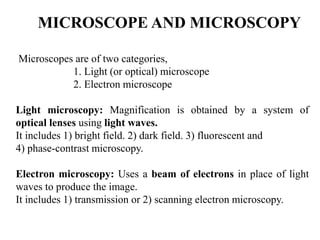 2 Microscopy and staining.pptx