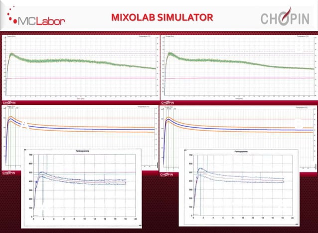 Chopin Mixolab | PPT