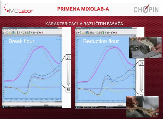 Chopin Mixolab | PPT