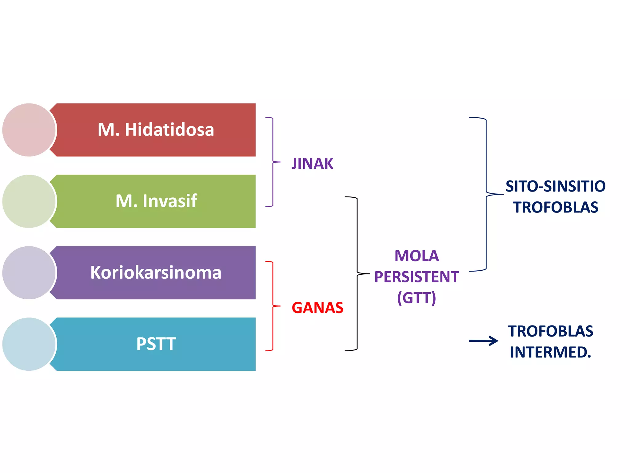 Mola hidatidosa dan Koriokarsinoma, endometriosis | PDF