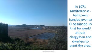 # 2 Montemor-o-Velho, Our Stone Culture | PDF