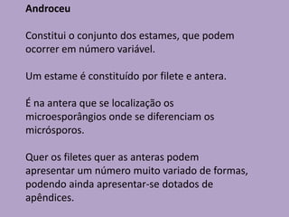 2 morfologia externa de plantas vasculares | PPTX