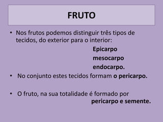 2 morfologia externa de plantas vasculares | PPTX