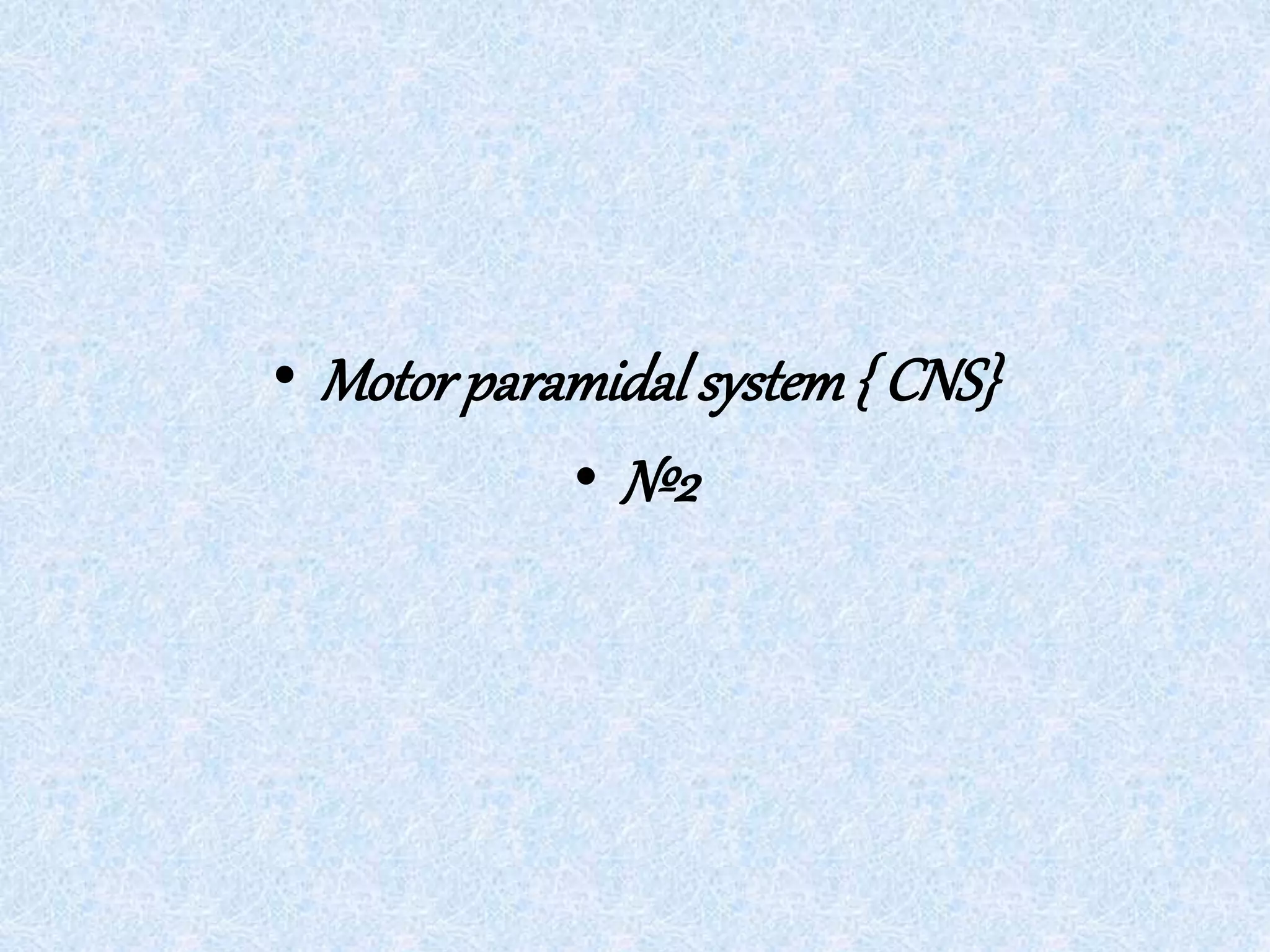 2motor sys (1).ppt