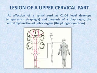 2motor sys (1).ppt