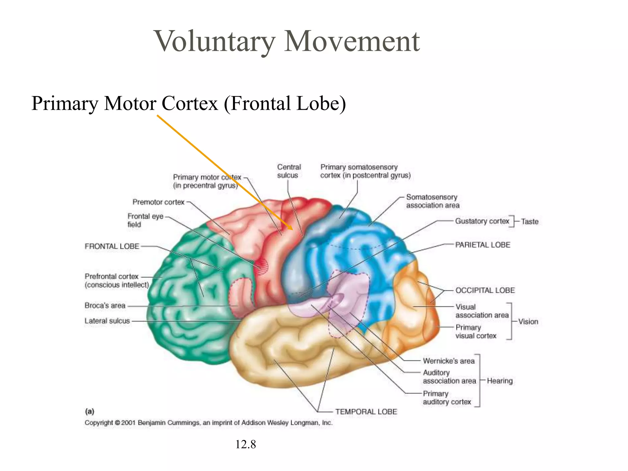 2 motor system.ppt