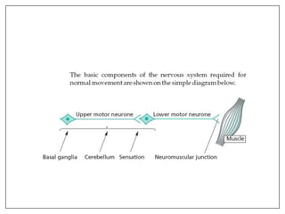 2 motor system.ppt