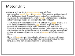 2 motor system.ppt