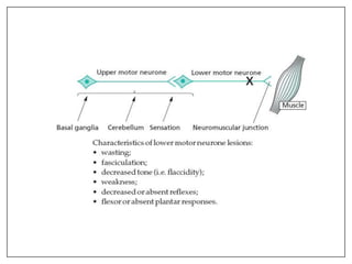 2 motor system.ppt