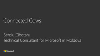 ms connected cows | PPTX