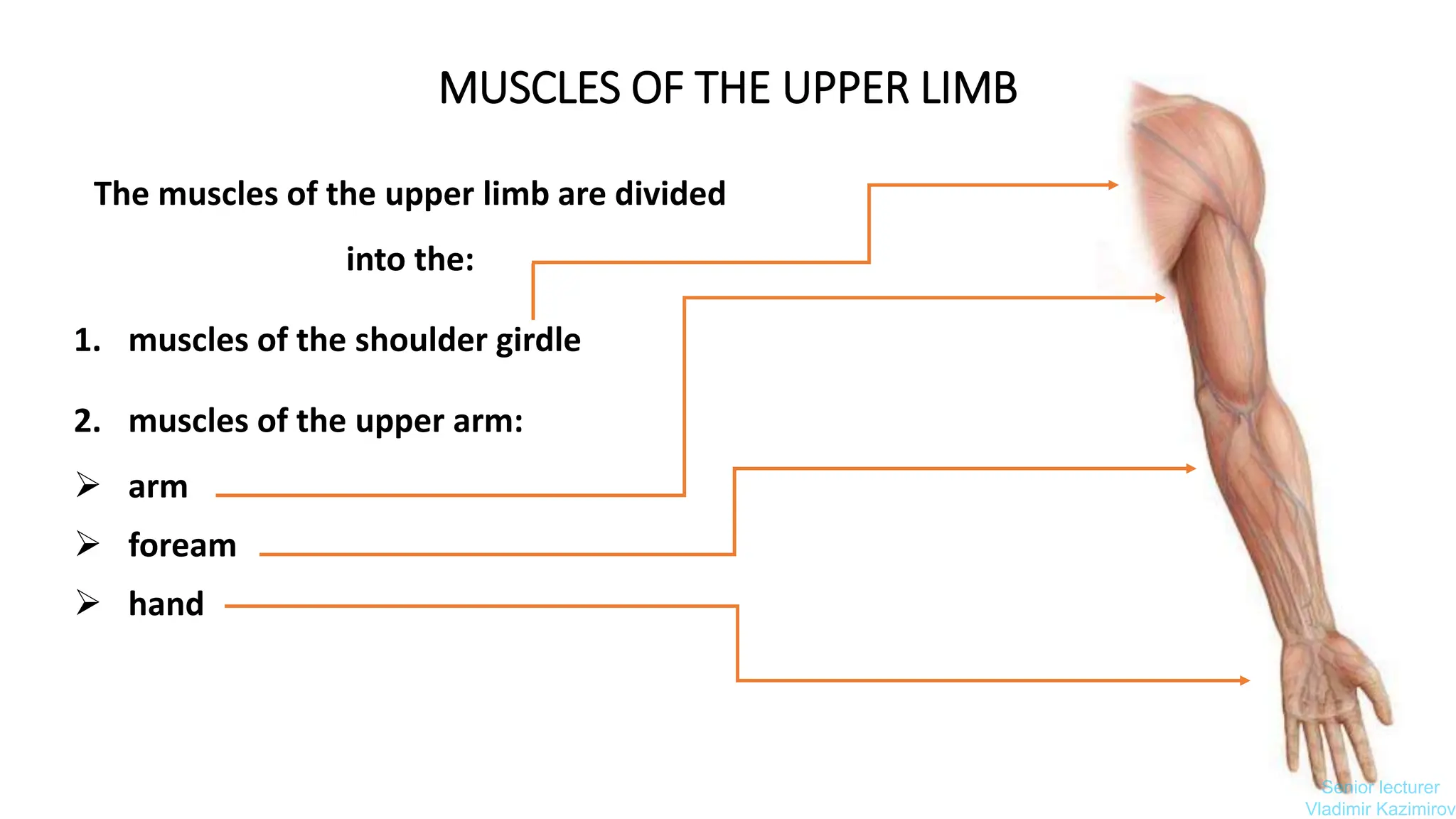 2) Muscles of upper limb .pdf