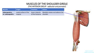 2) Muscles of upper limb .pdf
