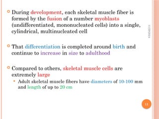 Muscle Physiology power point presentation.pptx