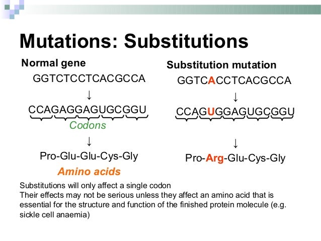 Substitution Genetic Mutation