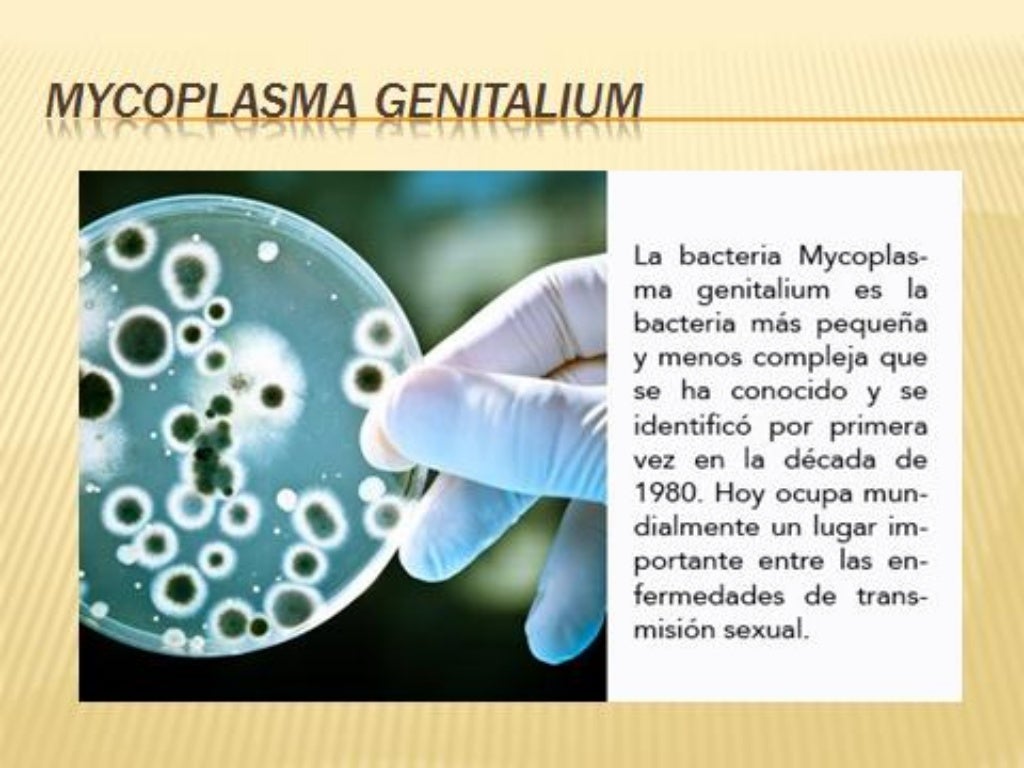 2 mycoplasma y ureaplasma