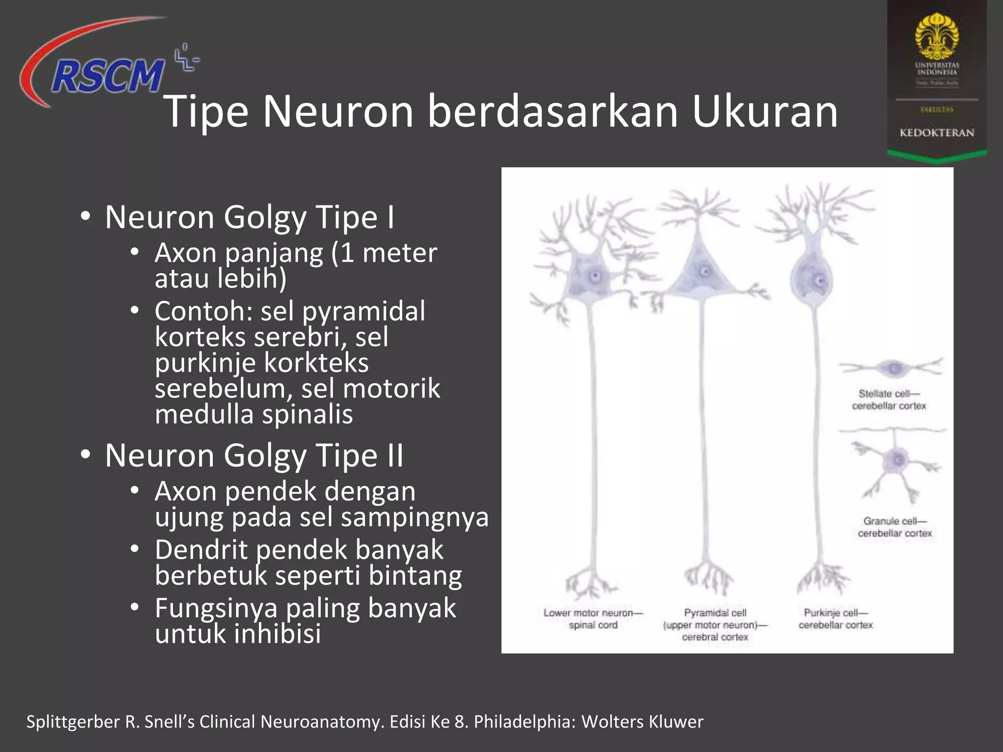 2 NA I Neurobiologi PT.pptx