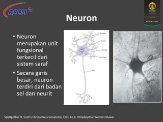 2 NA I Neurobiologi PT.pptx