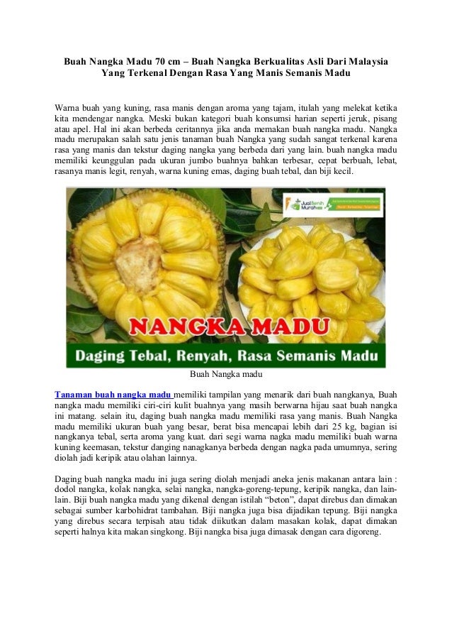 Gambar Buah Nangka Madu Gambar Bagian Tumbuhan