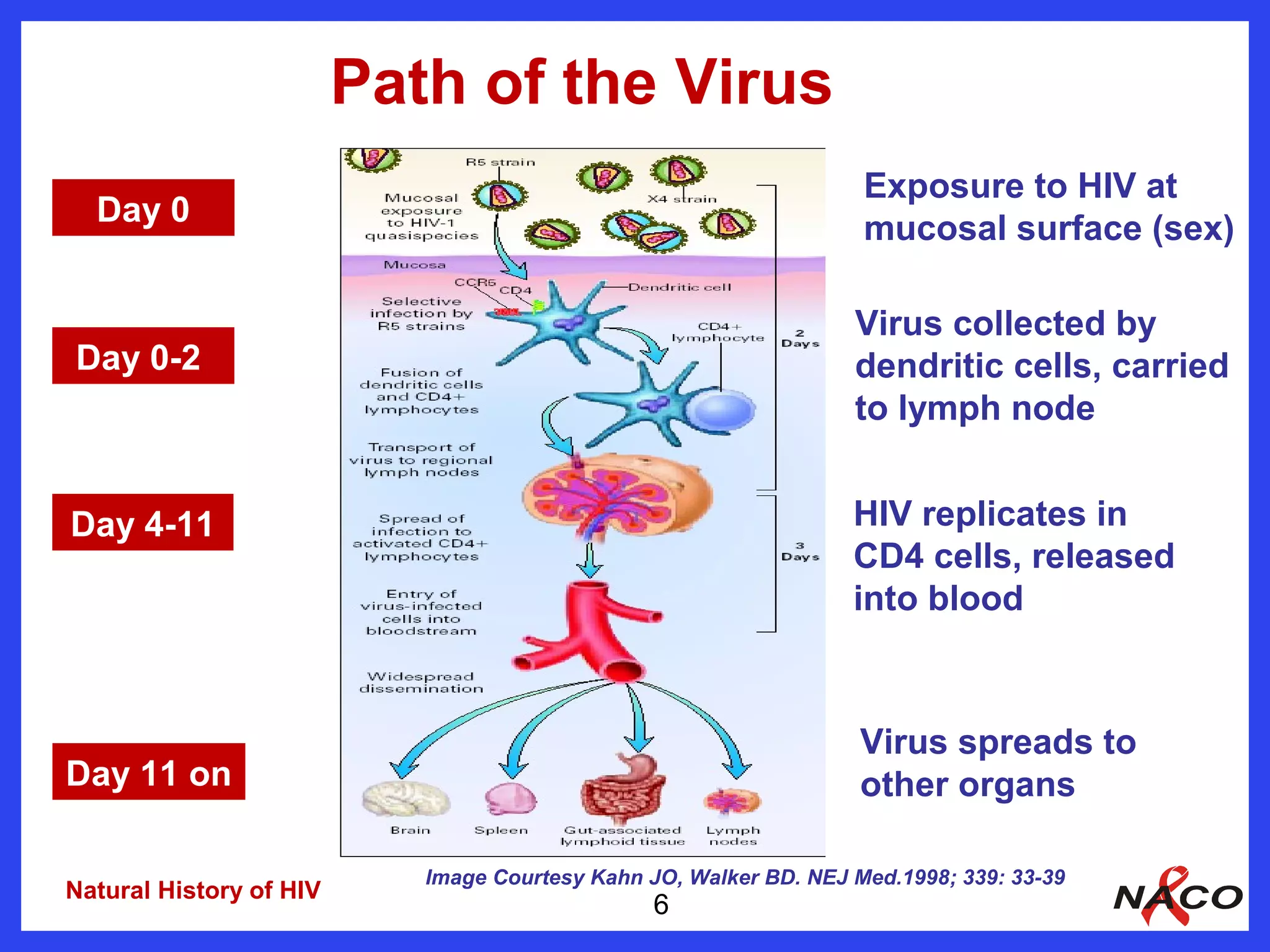 2 natural history of hiv and who clinical staging naco lac m | PPT