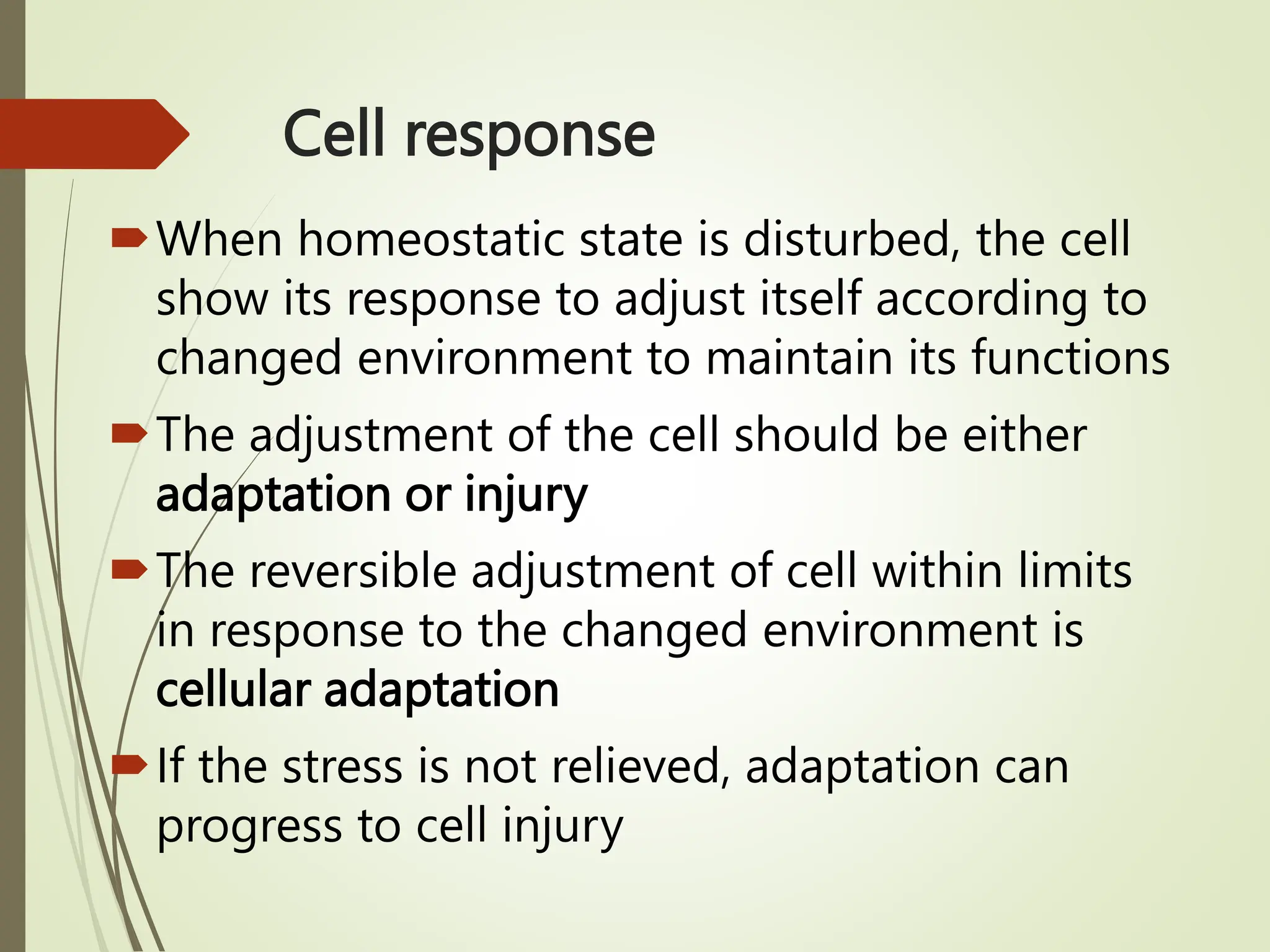 2nd.CELL ADAPTATION.by dr tehmeena..pico