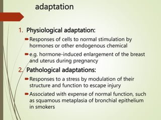 2nd.CELL ADAPTATION.by dr tehmeena..pico
