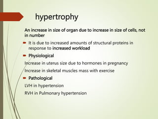 2nd.CELL ADAPTATION.by dr tehmeena..pico