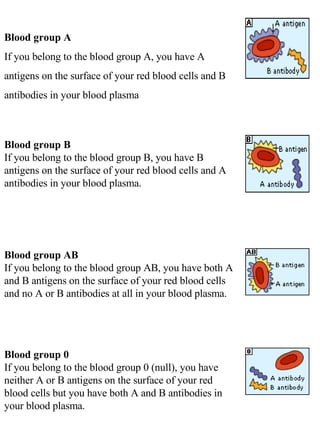 2nd, Blood Analysis | PPT | Blood Disorders | Diseases and Conditions