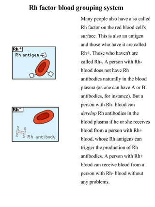 2nd, Blood Analysis | PPT