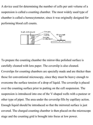 2nd, Blood Analysis | PPT | Blood Disorders | Diseases and Conditions