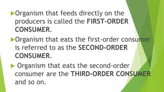 2ND-DEMO-POWERPOINT.pptx