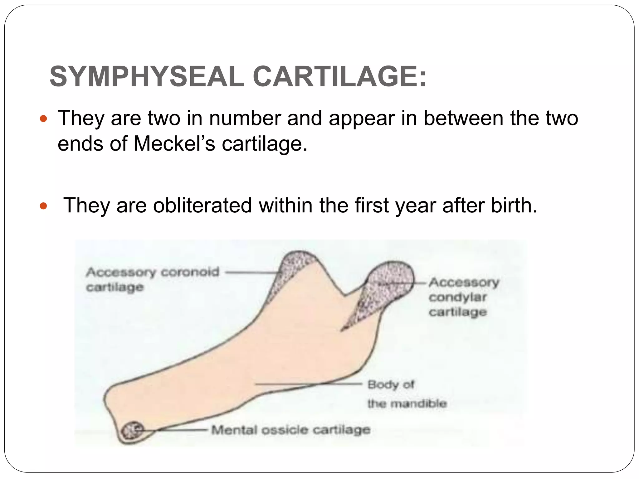 Development of mandible | PPTX