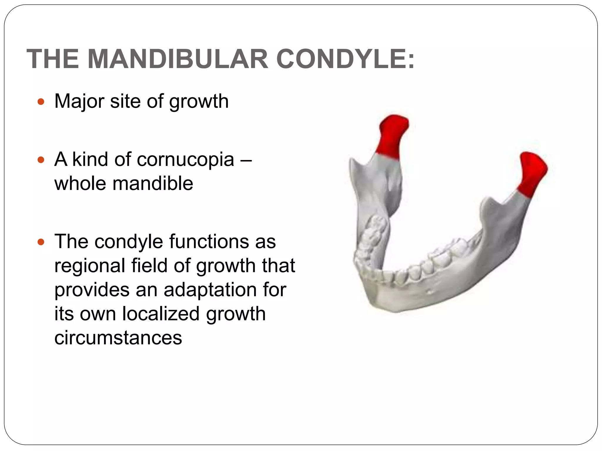 Development of mandible | PPTX
