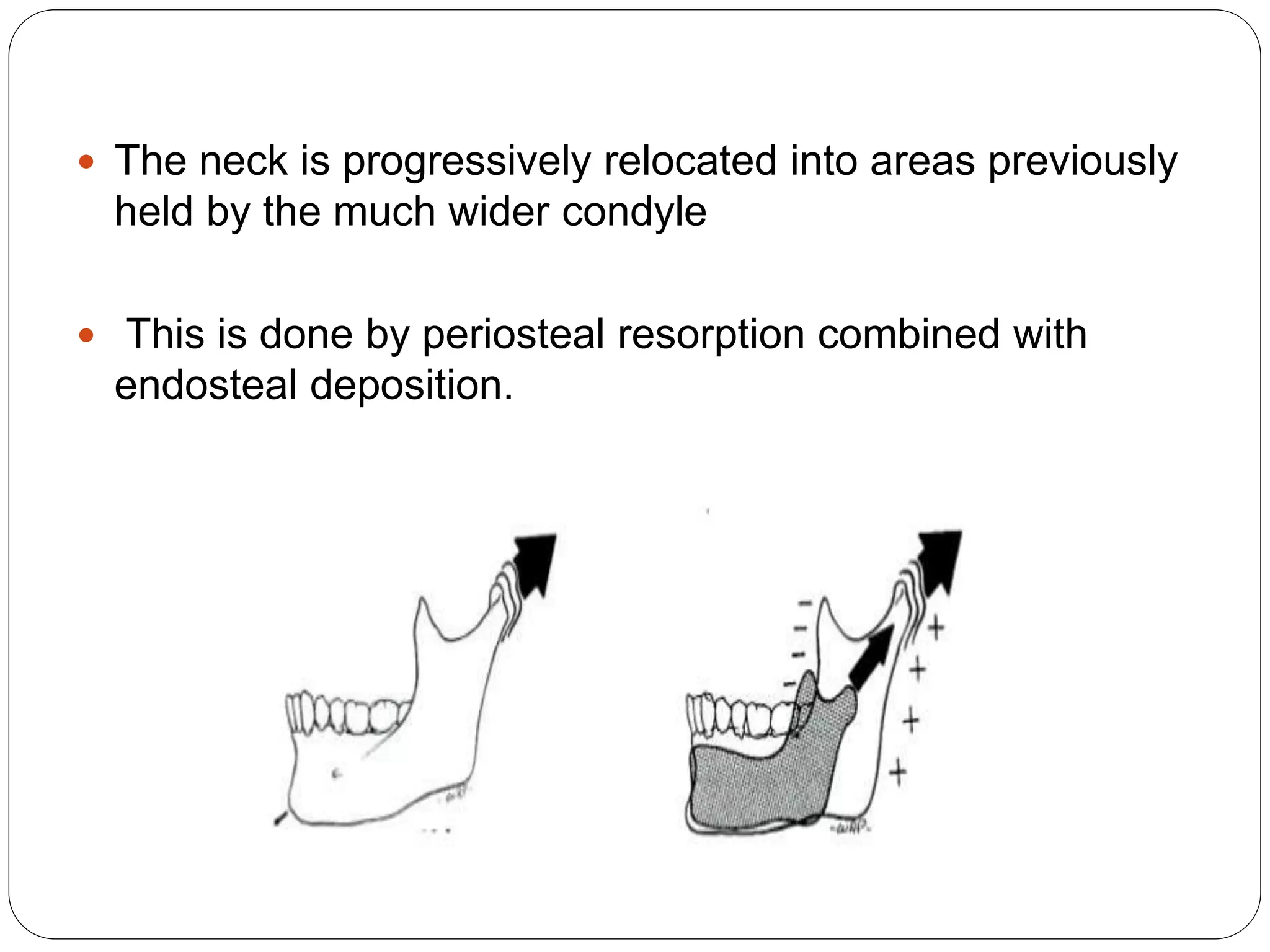 Development of mandible | PPTX