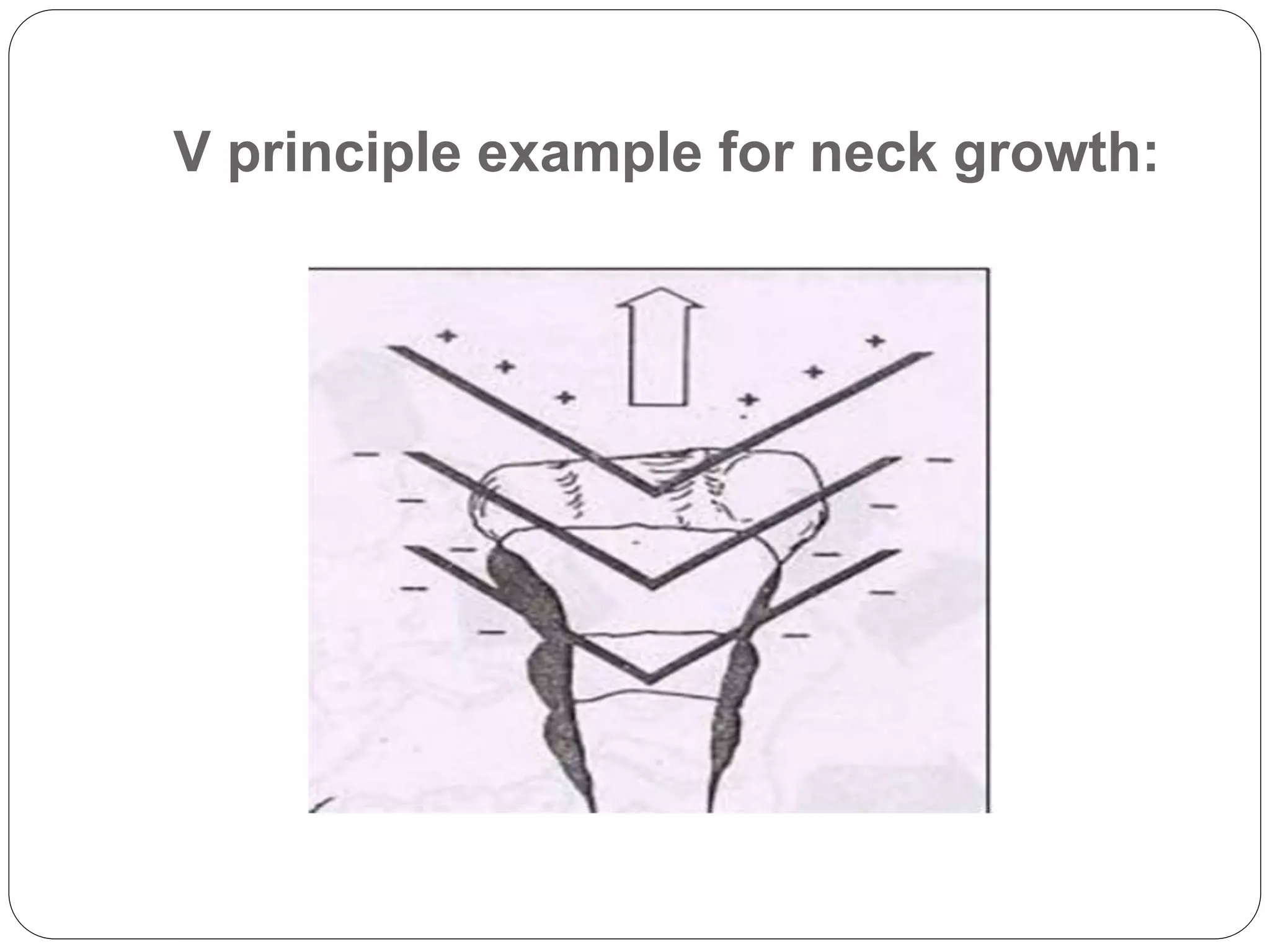 Development of mandible | PPTX