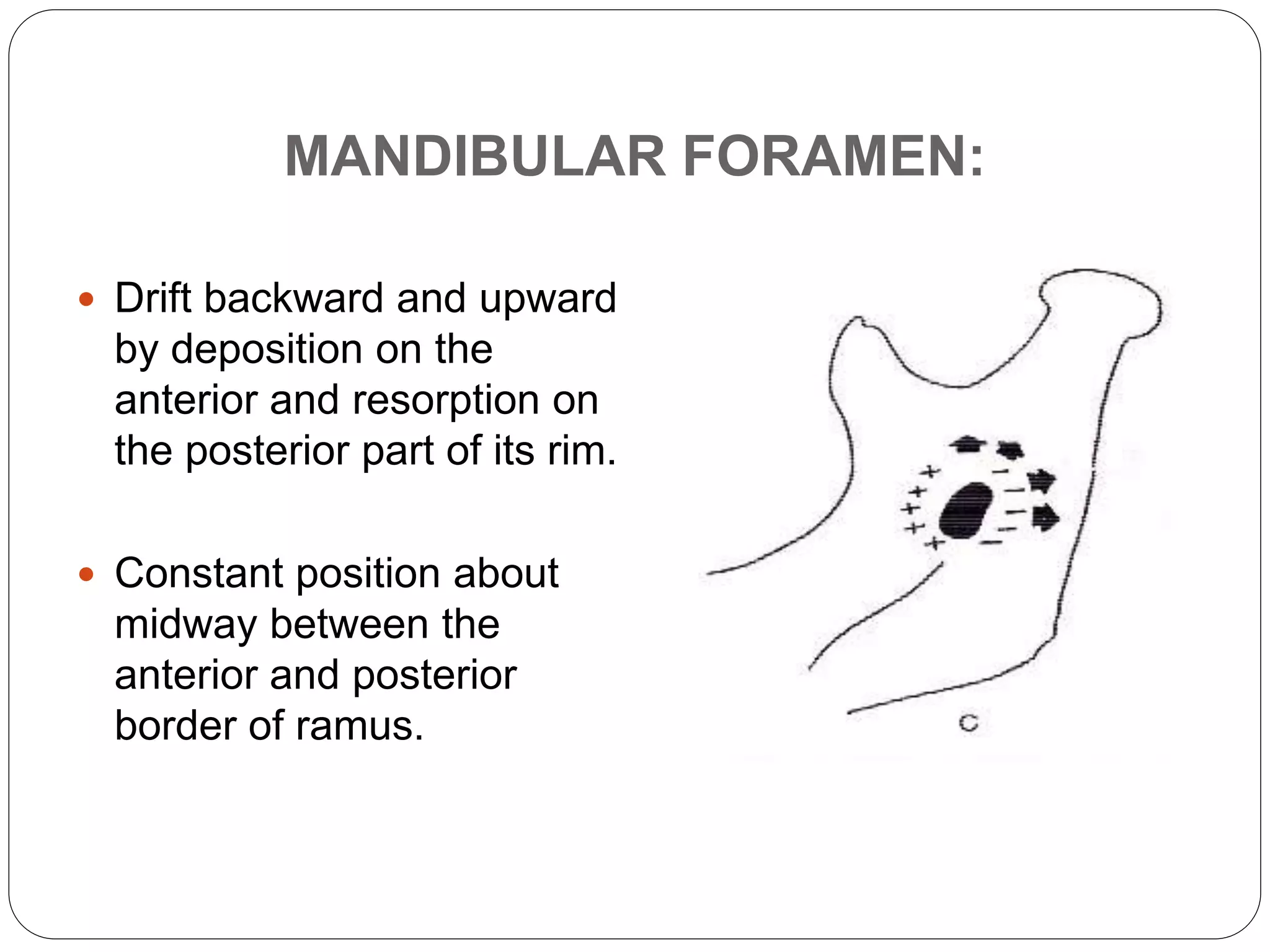 Development of mandible | PPTX