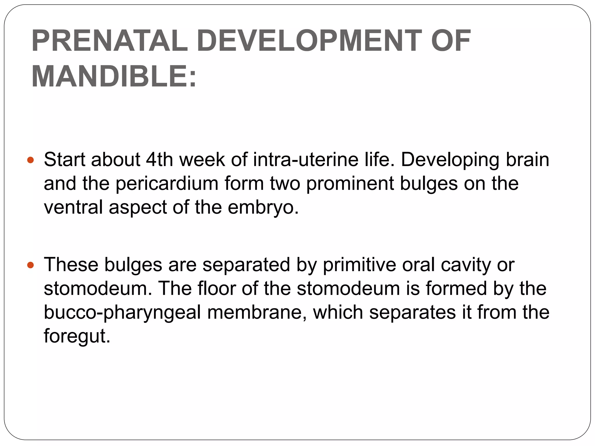 Development of mandible | PPTX