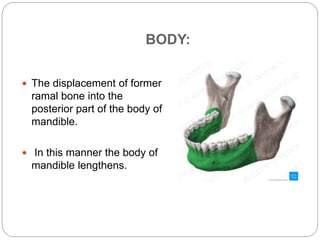 Development of mandible | PPTX