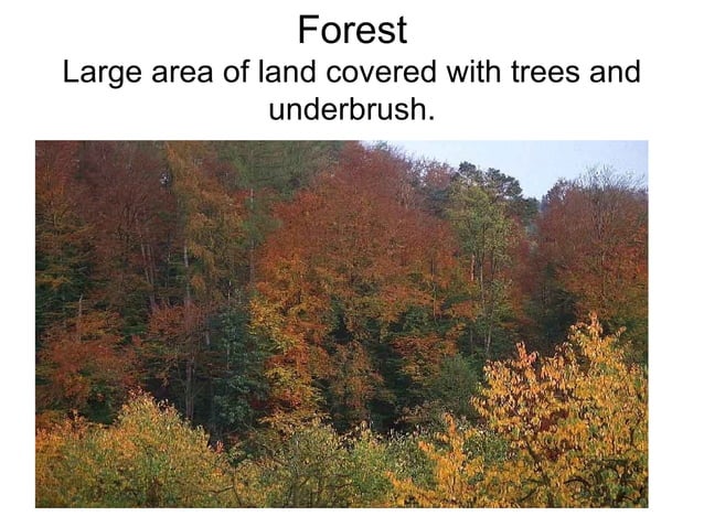 2nd Grade Landform Ramel | PPT | Geography | Science
