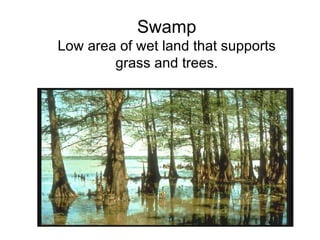 2nd Grade Landform Ramel | PPT