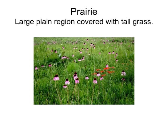 2nd Grade Landform Ramel | PPT | Geography | Science