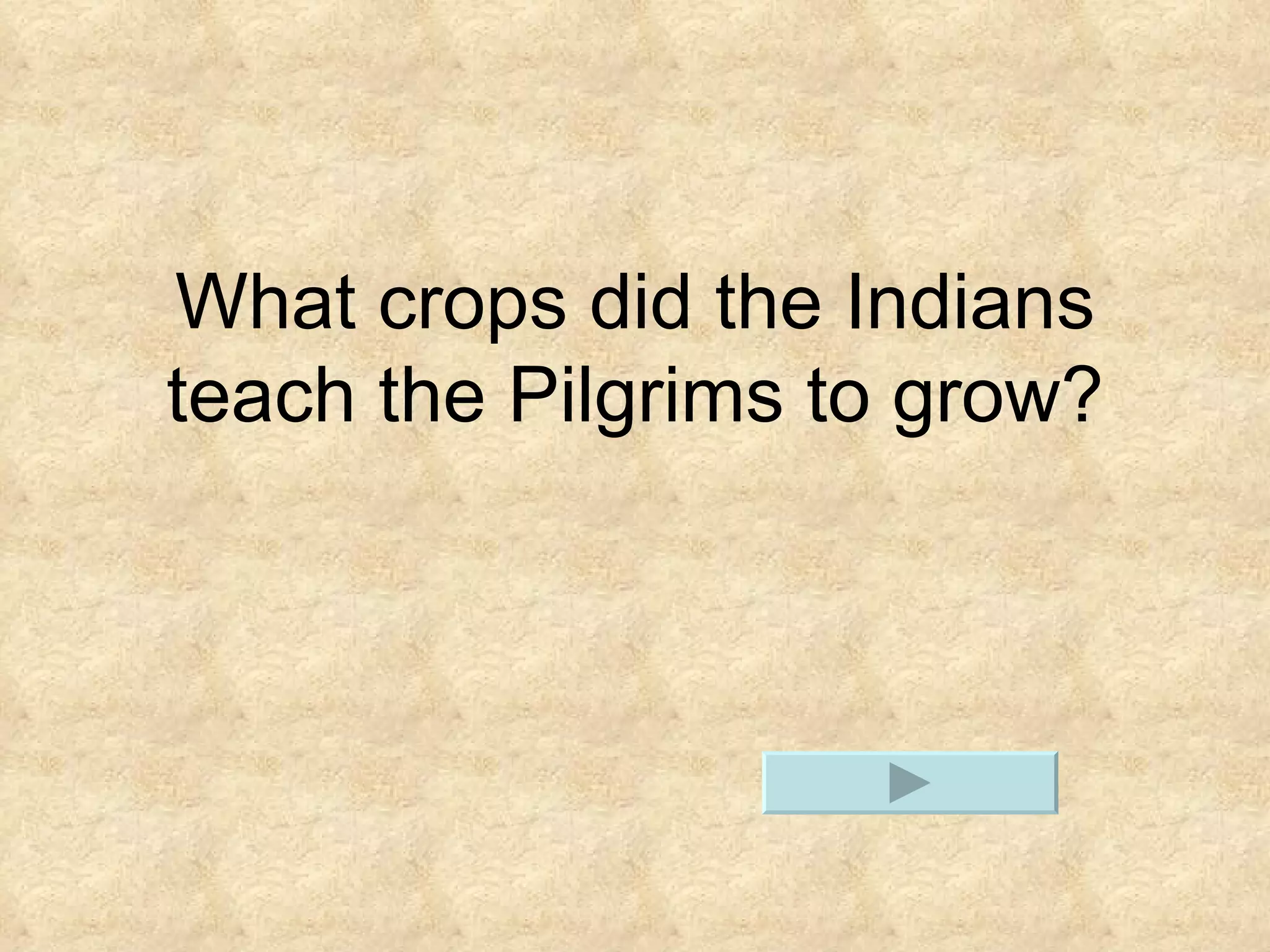 2nd Grade- Pilgrims and Native Americans | PPT
