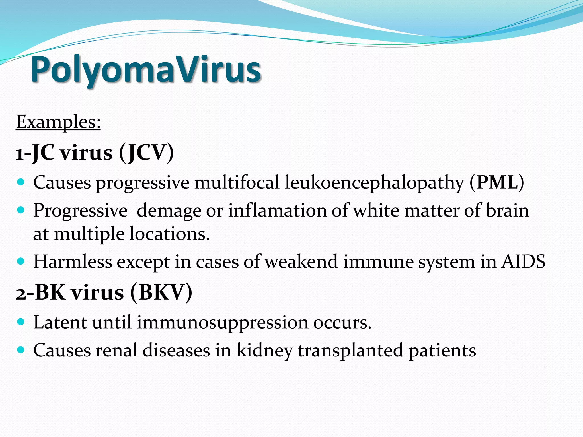 polyoma virus | PPTX