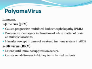 polyoma virus | PPTX
