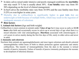 Comprehensive Overview of Colibacillosis in Newborn Farm Animals ...